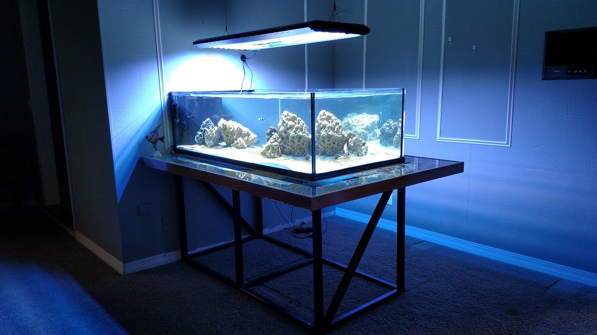 Shallow or deep tank better? Your opinions please | Reef2Reef